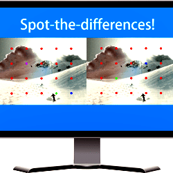 Spot-the-differences task display.