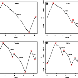 Cumulative sum time series plots generated from Equation 1.