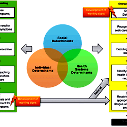 Conceptual framework on determinants of dengue mortality, based on ...