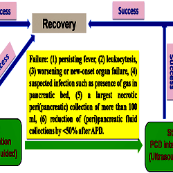 The indication of each intervention in the newly established step-up ...