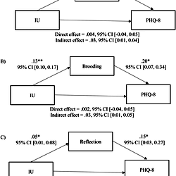 Longitudinal mediation models.