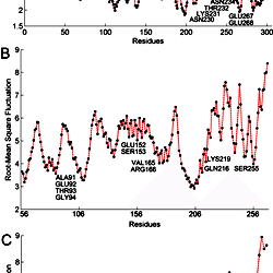 RMSF plot during molecular dynamic simulations.