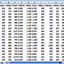 Partial view of a matrix data for the DT analysis.