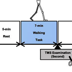 A schematic diagram of the experimental protocol.
