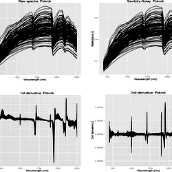 Raw reflectance spectra, smoothed spectra by Savizky-Golay and ...