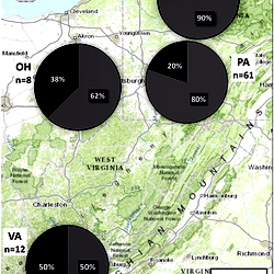 Map of Bd prevalence on eastern hellbenders.