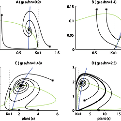 Dynamics of the simplified version of the PLA model.
