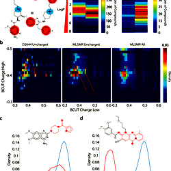 Novel structural determinants of hERG inhibitions.