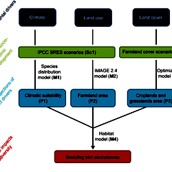 Flowchart summarizing the different steps of the study methods.
