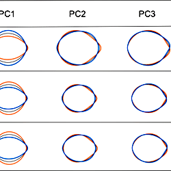 Seed shape variations explained by PCs of each quantification method.