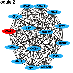 The three most significant modules.