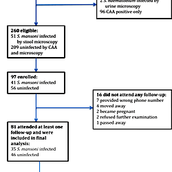 Flow chart of study screening and enrollment.