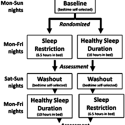 Schematic Diagram of Sleep Protocol.
