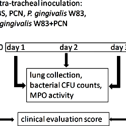 Flow diagram of the experimental design and sampling protocol for the ...