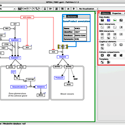 PathVisio 3, a full-powered pathway editor.