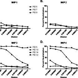 Percent neutralization of pseudotype virus.