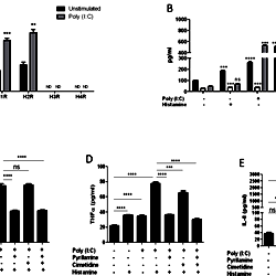 Toll-like receptor agonist poly (I:C) induces expression of H1R and H2R ...