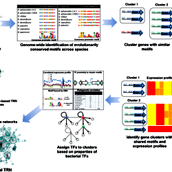 Overview of TRN reconstruction approach.