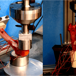 Experimental setup for the fall configuration (left) and the stance ...