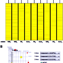 IVF conditions do not influence the transcriptome of the established ...