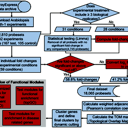 Flowchart of data collection, processing and analysis.