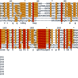 Sequence alignment of the NqrC subunits of NQR from different bacteria ...