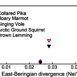Divergence between clades within a species.