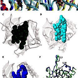 Structure movements during molecular dynamic simulation process.