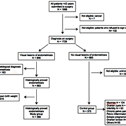 Flow chart of the study.