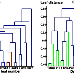 The hierarchy structures based on the dendrogram analysis for the NE-IL ...
