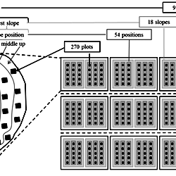 Hierarchical nested sampling design used for data collection.