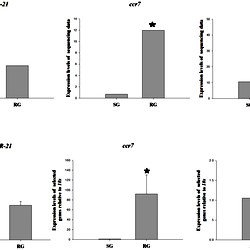 The expression analysis of selected genes from the expression profile ...