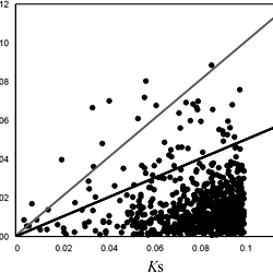 Distribution of Ka/Ks ratio.