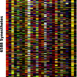 Grapheme-Color synesthesia in 6588 participants.