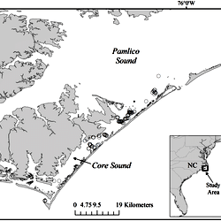 Capture sites within Core Sound, North Carolina where juvenile ...