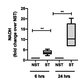 Mitochondrial DAMPs are released during cyclic mechanical stretch.