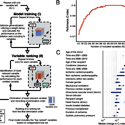Schematic illustration of the variable-ranking process for the ...