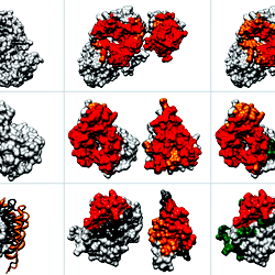 Examples of structural models.