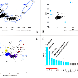Chemometric analysis of ninety-three batches of SKIs. A) PCA score plot ...