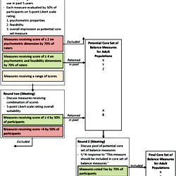 Overview of consensus process