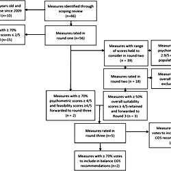 Overview of standing balance COS development results.