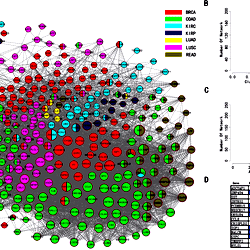 The DMCN of differentially methylated genes.