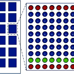 The patterns of viral array.