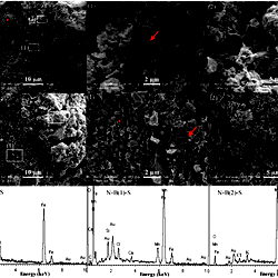 Scanning electron microscopy (SEM) photos of N-type sample and Energy ...