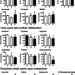 Relative concentrations of plasma metabolites related to the TCA cycle ...