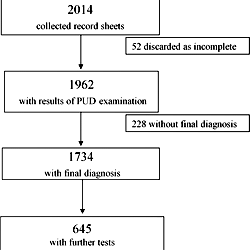 The study flow chart.