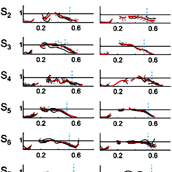 Representative examples of the gain patterns.