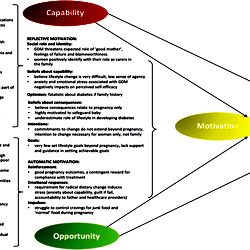 Findings from focus group discussions mapped according to the ...