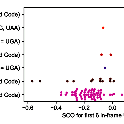 Plot of the combined SCO scores for the first six 3’ UTR positions ...