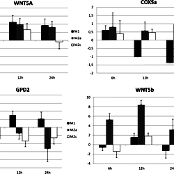 Validation of microarray data by quantitative pcr.